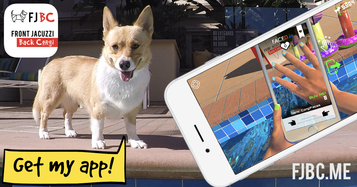 #FJBC || Front Jacuzzi Back Corgi: The Website